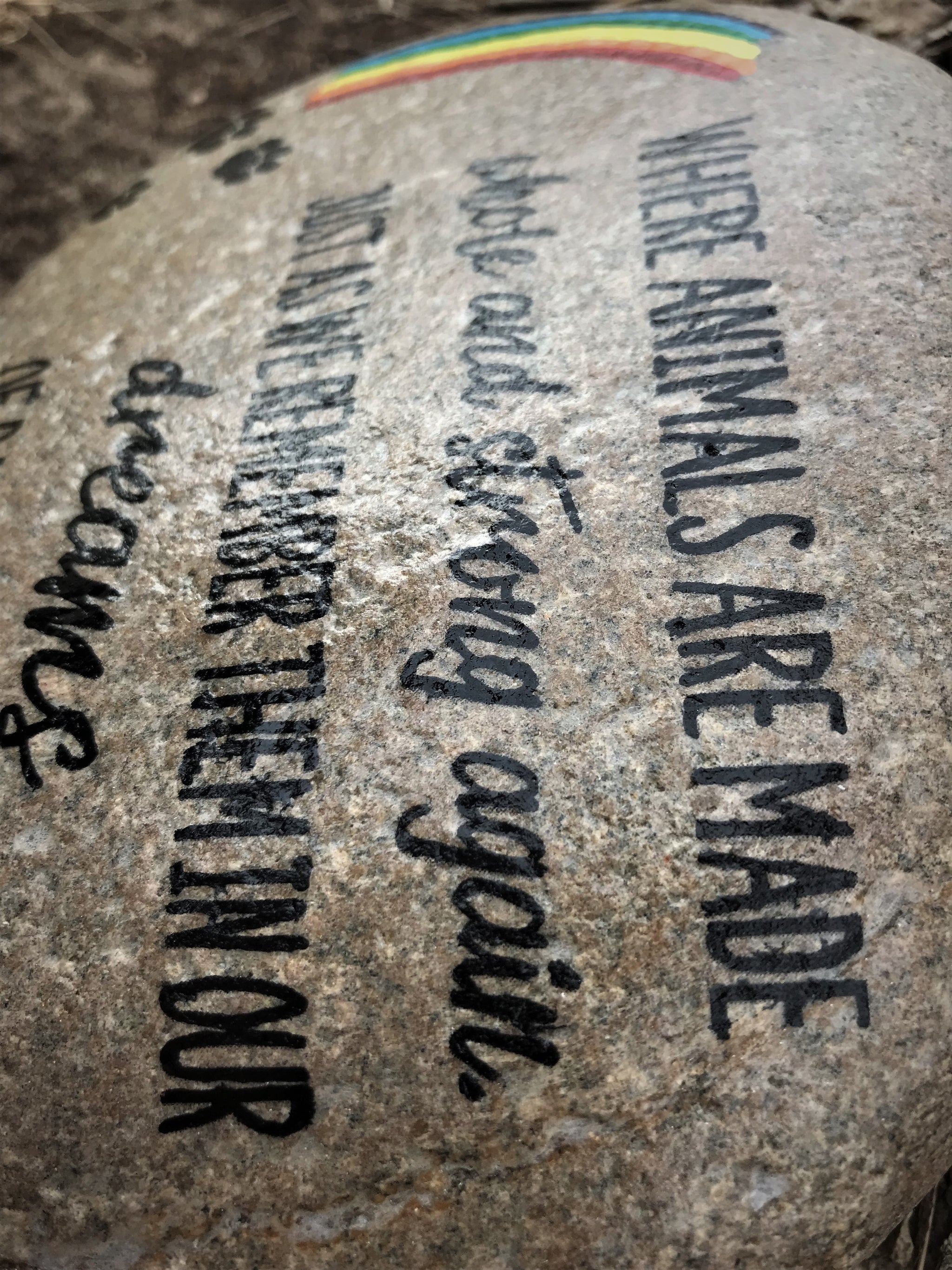 Rainbow Bridge Pet Stone – Silver Birch & Stone