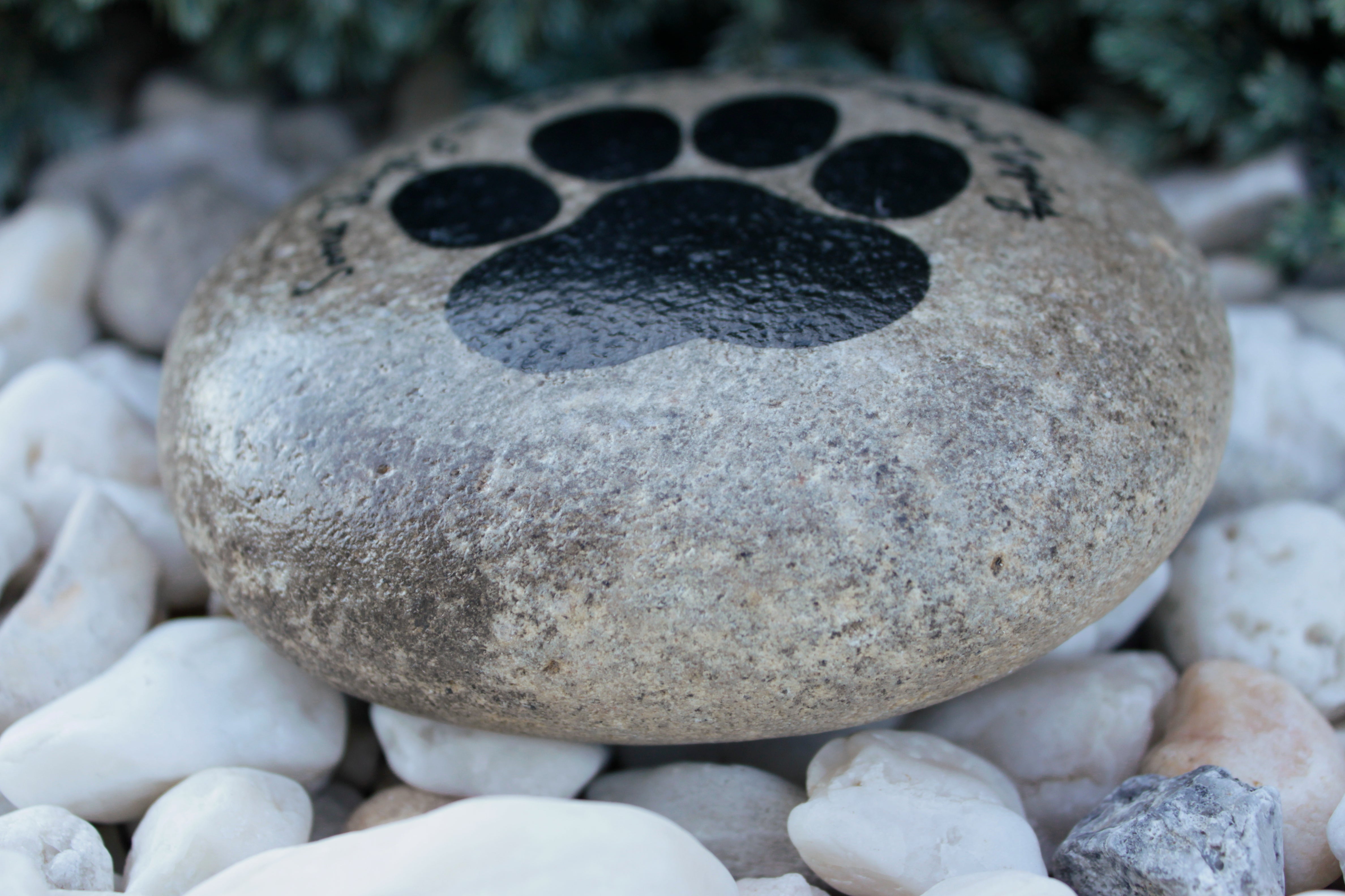 Medium Pet Memorial Stone - Fill Your Heart – Silver Birch & Stone
